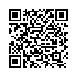 构筑战略通道推动制度开放——从“地瓜经济”看浙江打造高能级开放大省-新华网